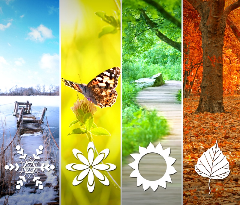 PPS LES QUATRES SAISONS